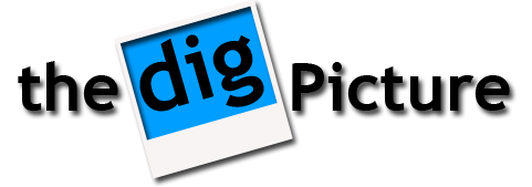 The Dig Picture | What is The Dig Picture?